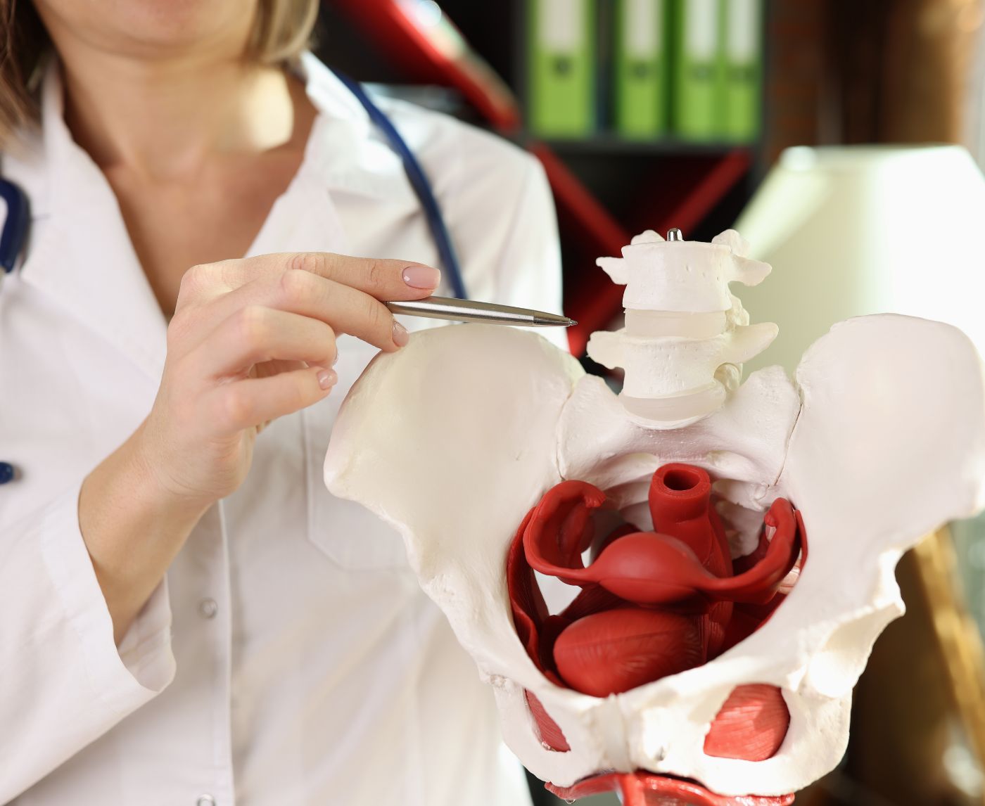 Chlamydia and Fertility: What You Need to Know to Protect Your ...